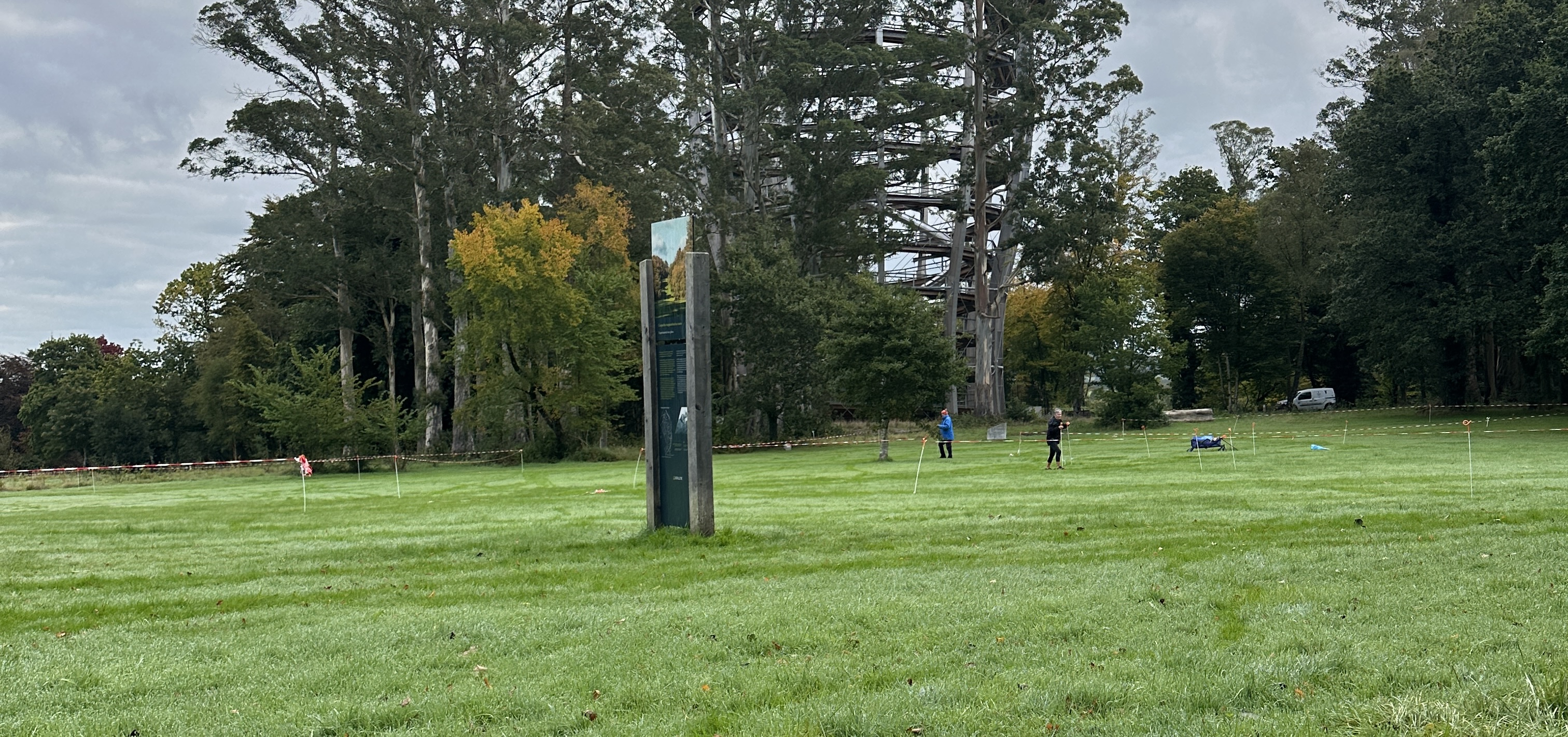 Avondale Cross Country – St. Francis' NS