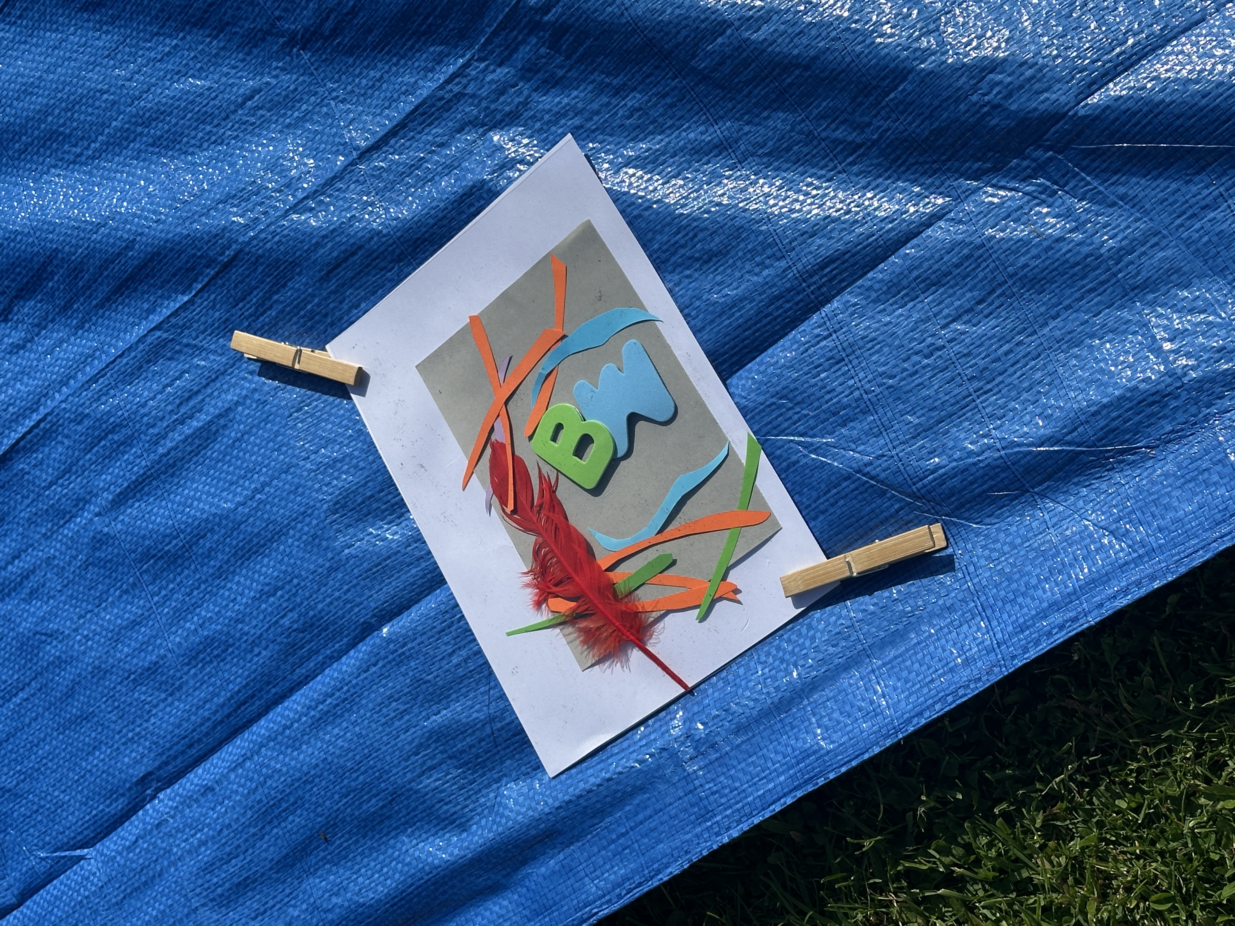 Cyanotype – St. Francis' NS