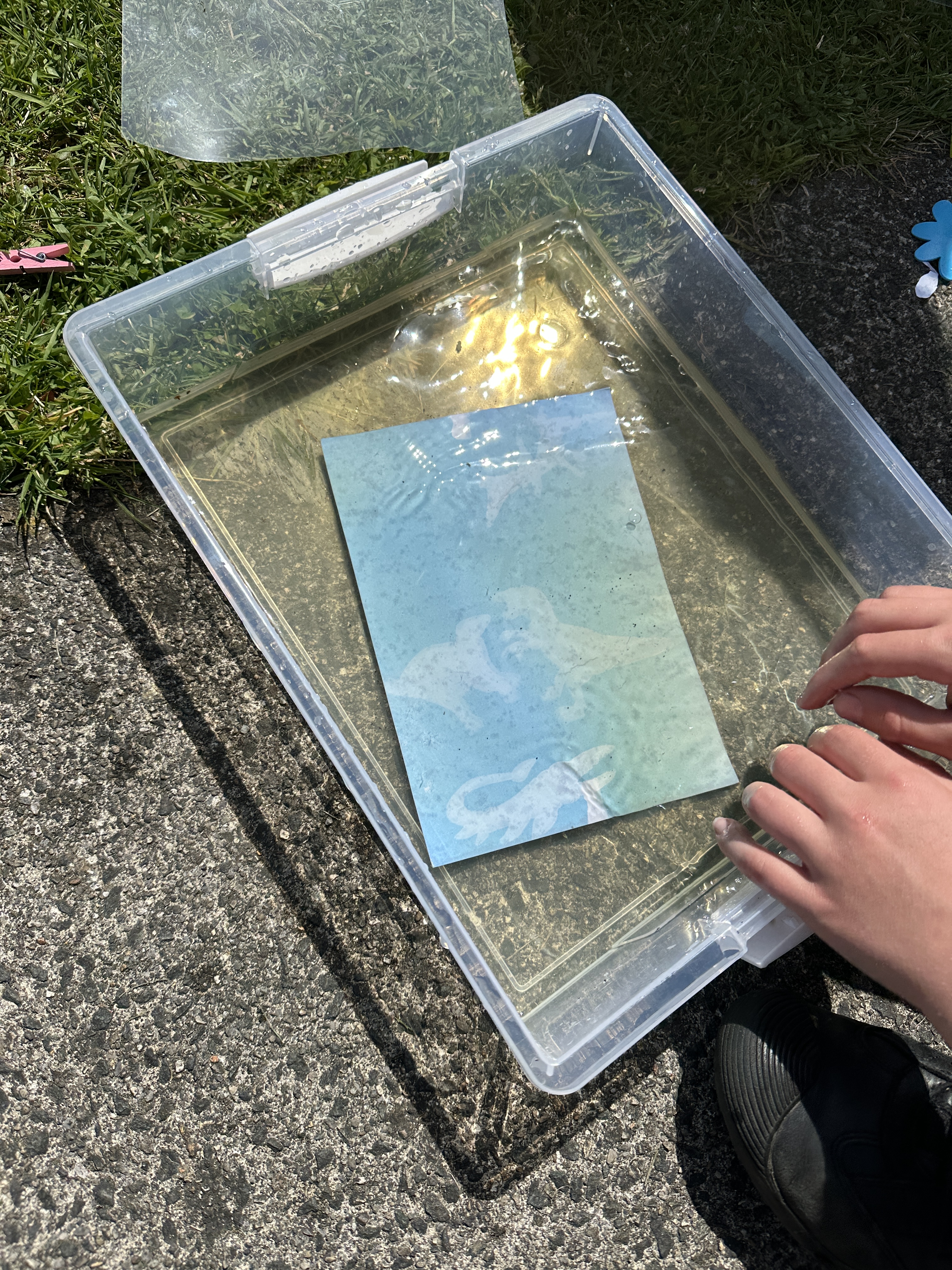 Cyanotype – St. Francis' NS